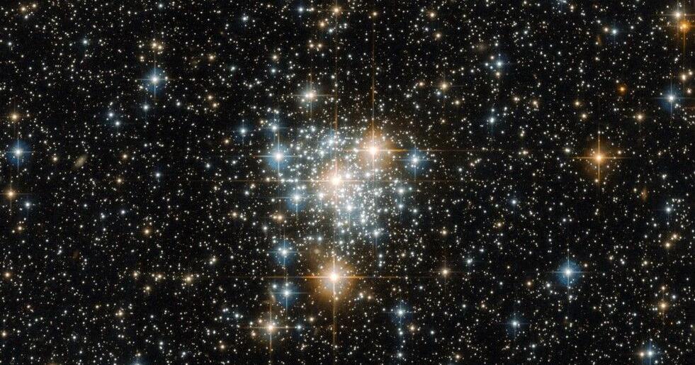 procyon star flashing