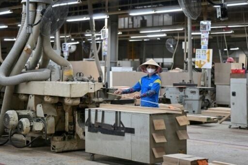 Vietnam shrugs off Trump tariffs as US exports surge | National News ...