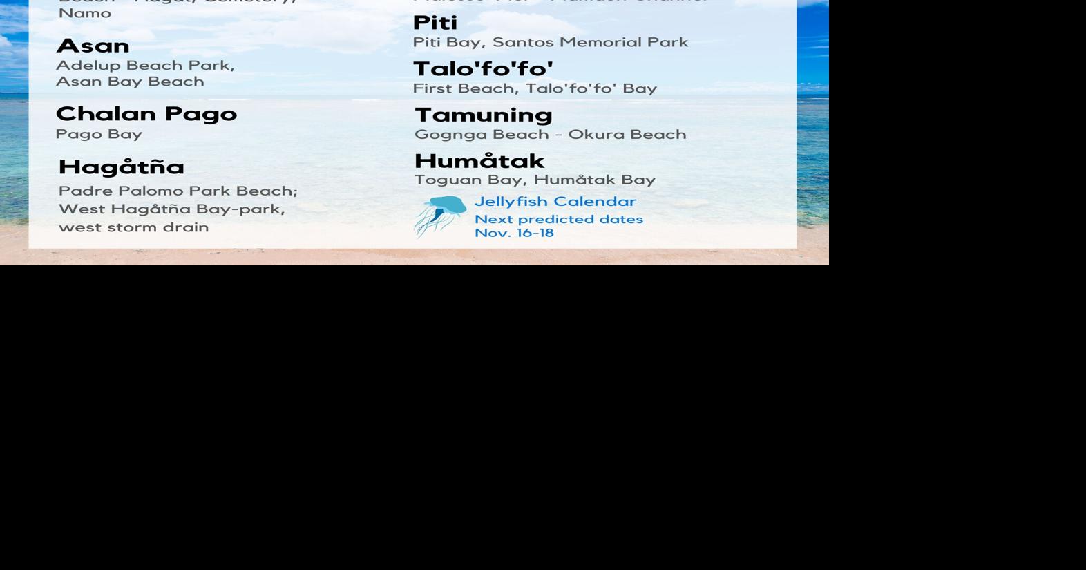 Guam EPA warns of 21 polluted beaches | News | guampdn.com