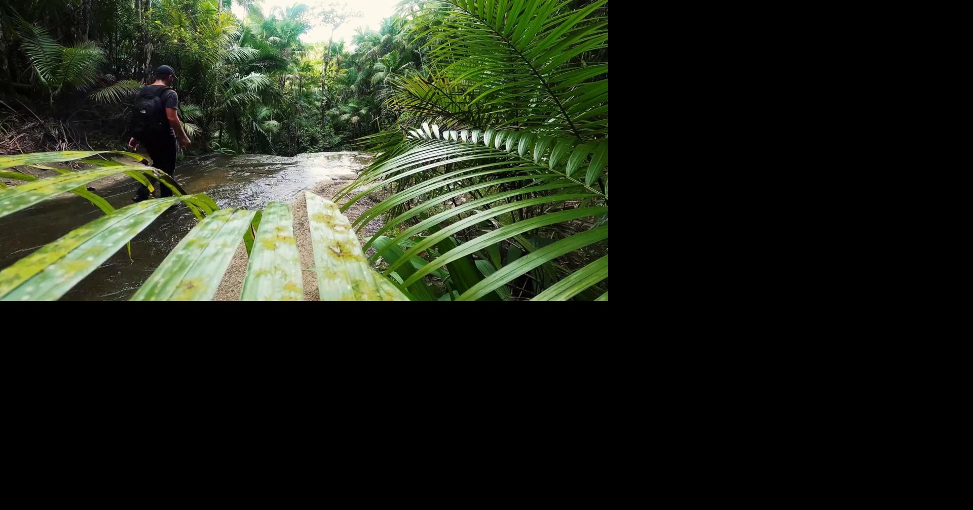 Luke Taylor: My favorite hike on Guam | Lifestyle | guampdn.com