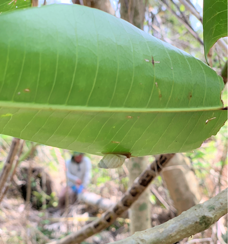 Ritidian remains closed because of damage from Mawar | News | guampdn.com