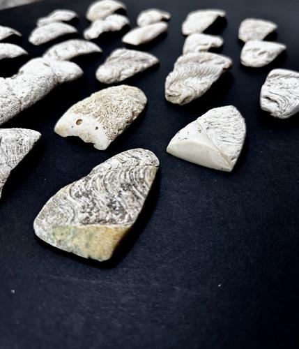 OPINION Bevacqua: The importance of the hima, yesterday and today ...