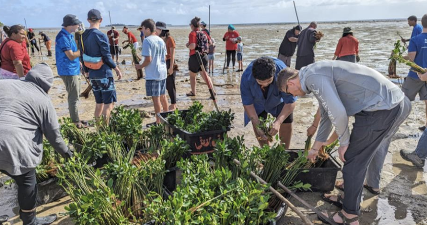 LETTER: Tonga's environment drowning in crisis it did not create ...