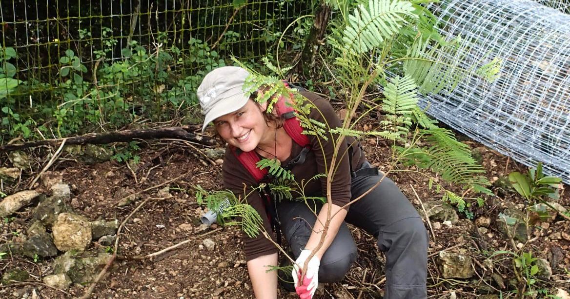 Indigenous spirituality and the håyun lågu tree | Lifestyle | guampdn.com
