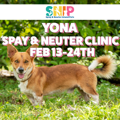 SNIP Program to hold community event at Yona Community Center | News ...