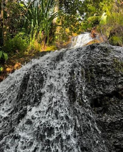 Hike to Taleyfac with Boonie Stompers | Lifestyle | guampdn.com