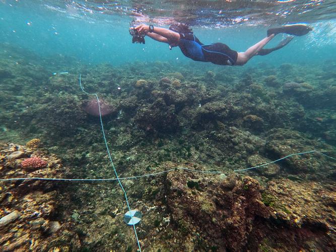 UOG researchers mapping Guam's coral reef system | Local News | guampdn.com