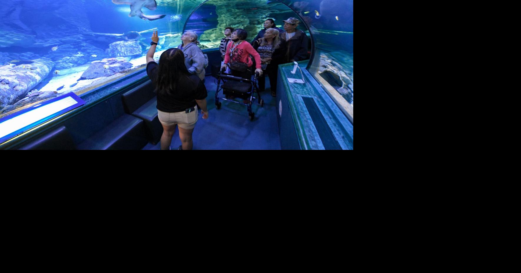 Aquarium of Guam hosts a tour for Guma Trankilidat manåmko ...