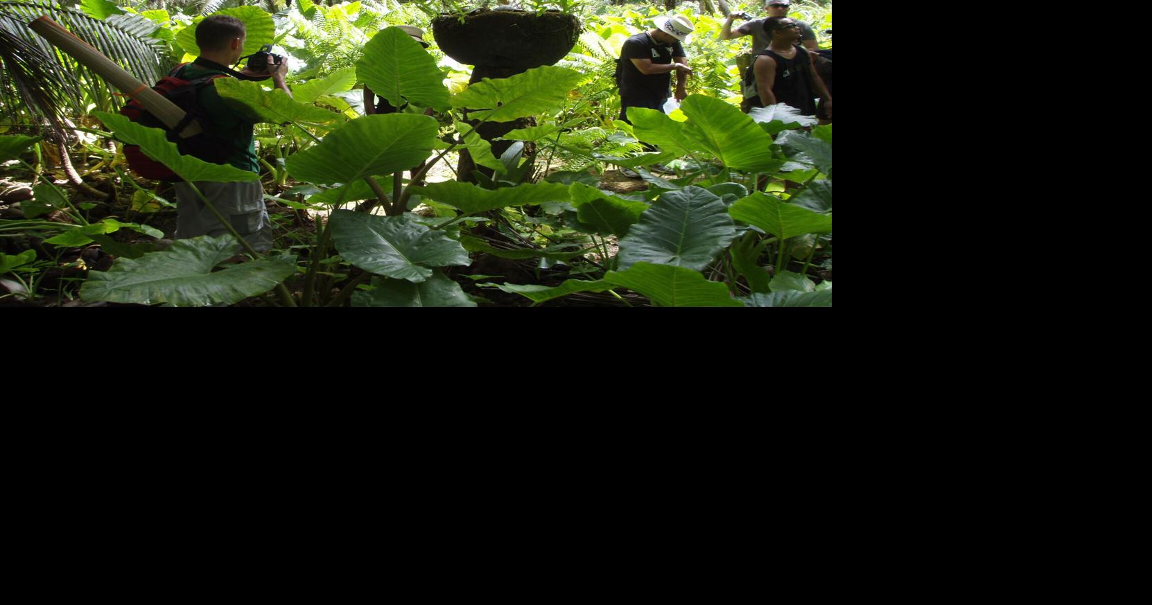 Lotz: Knowledge of CHamoru heritage resources is essential to ...