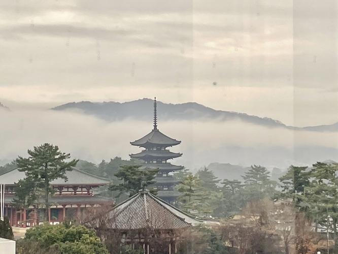 Nara: Japan's ancient capital where deer roam freely | | guampdn.com