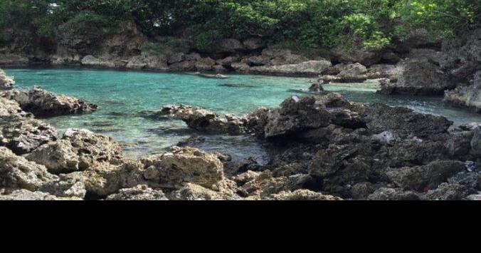 Boonie Stompers hike to Ague Cove | Lifestyle | guampdn.com