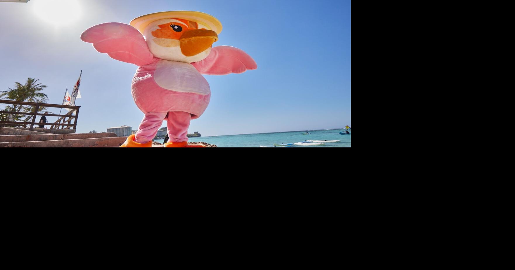 Sandy the sihek: PIC's newest mascot | Lifestyle | guampdn.com