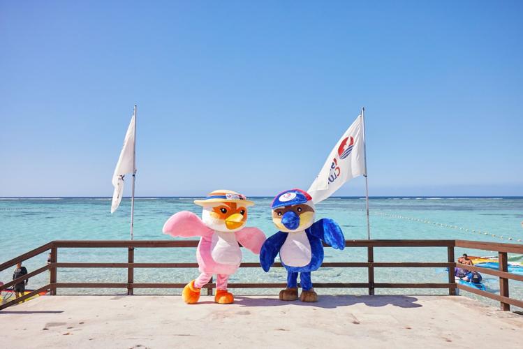 Sandy the sihek: PIC's newest mascot | Lifestyle | guampdn.com