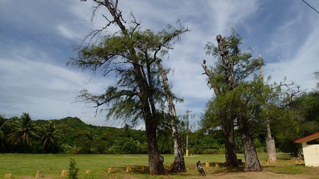 A look at Ipan Beach Park in Talo'fo'fo' | | guampdn.com