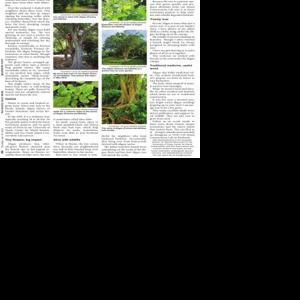 Page A26 | e-Edition | guampdn.com