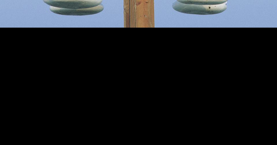 Purple Martin roosts are forming | News | guardonline.com