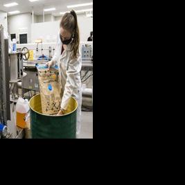 New parboiling method saves water, improves nutrient content in rice ...