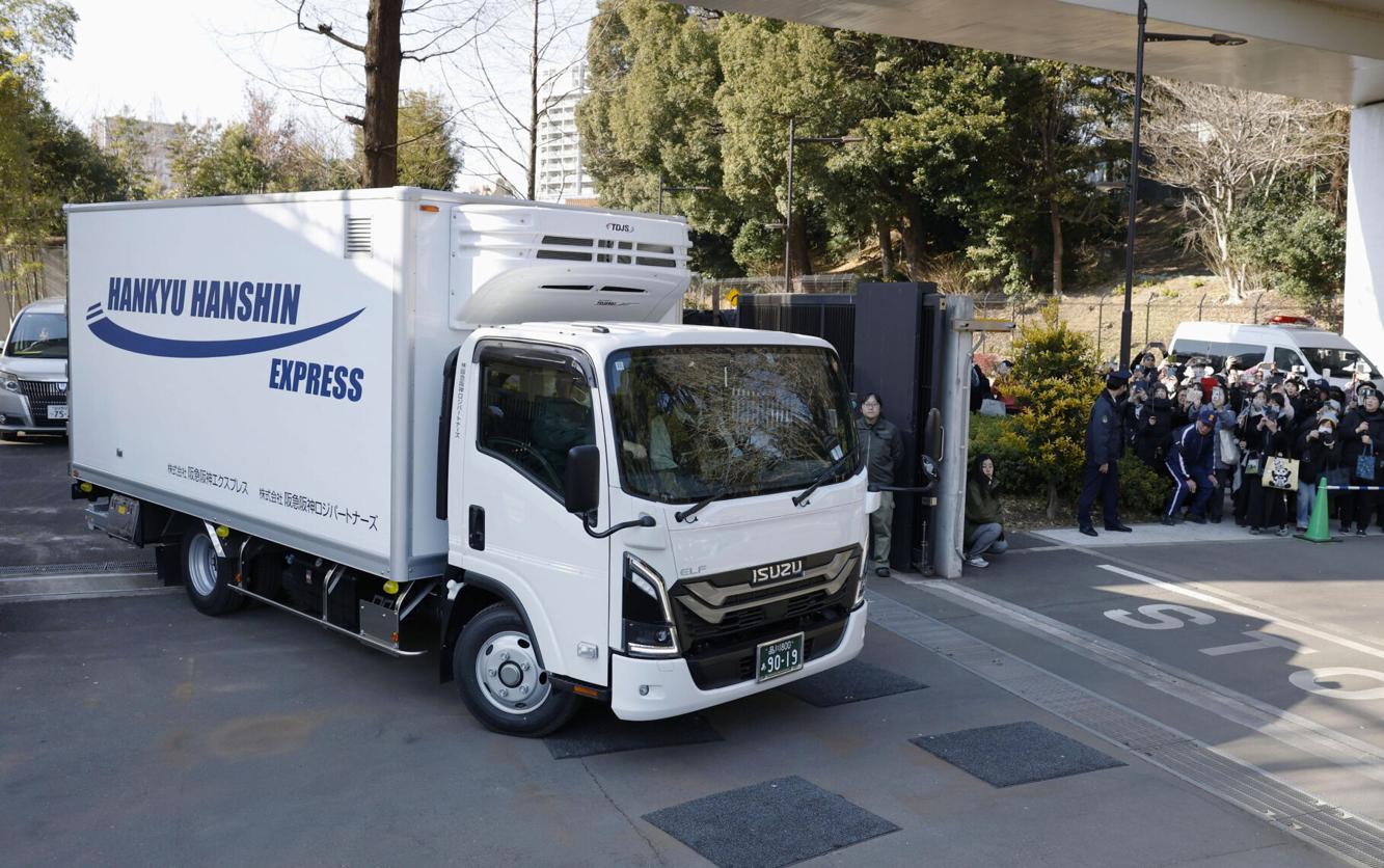 Japan Pandas | World | guardonline.com