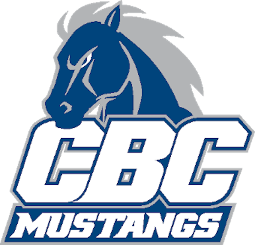 CBC volleyball announces 2021 recruiting class | Sports | guardonline.com