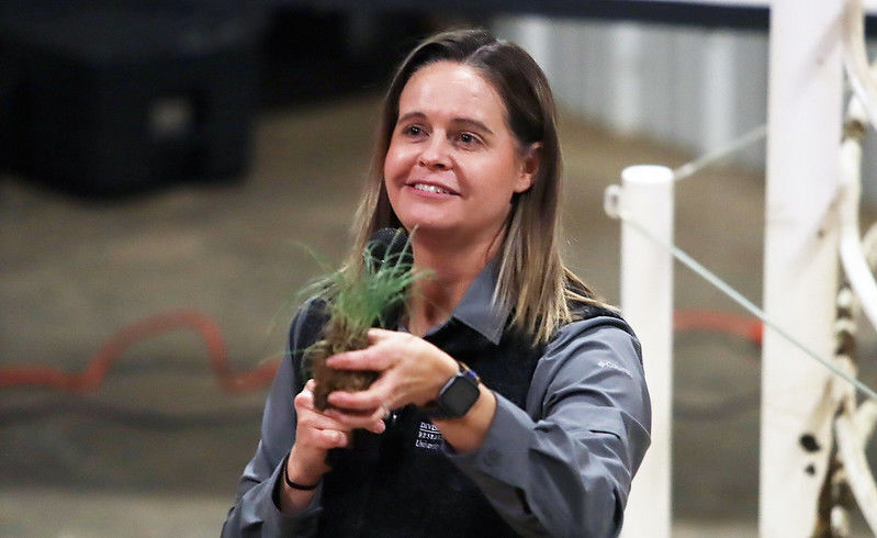 Ranchers get full day of production advice at Little Red River Beef ...