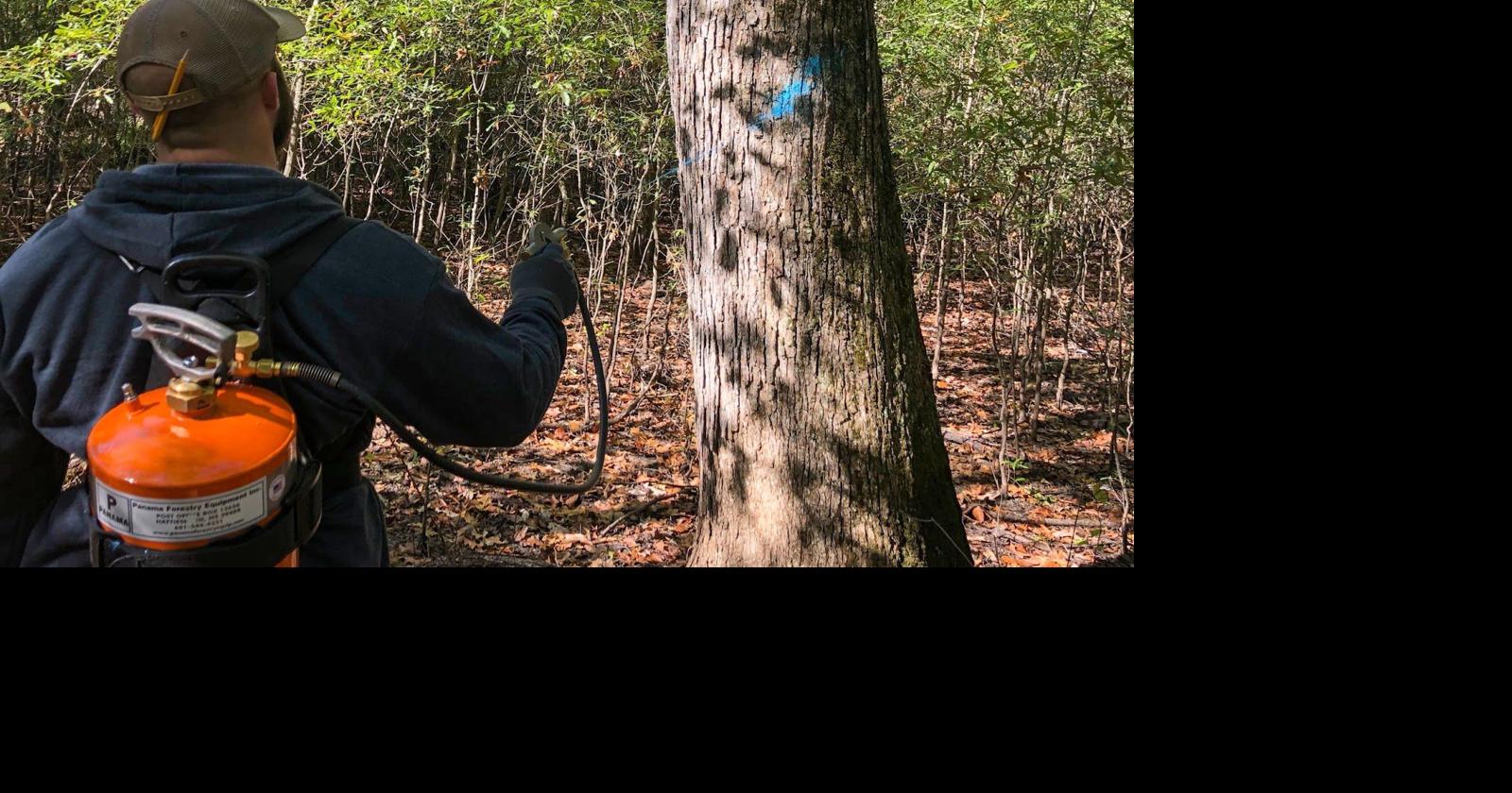 Blue paint marks habitat rebirth | News | guardonline.com