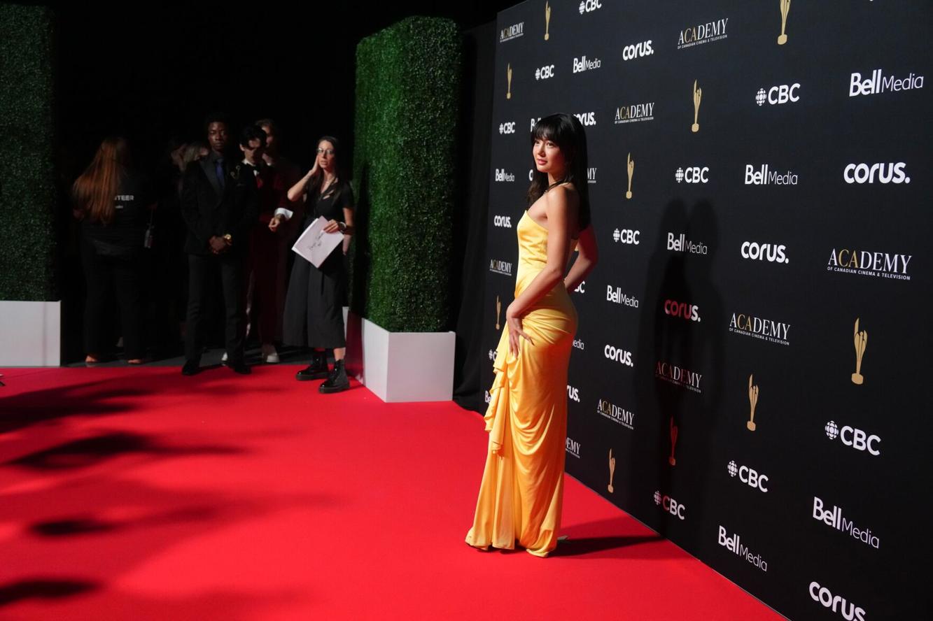 Canadian Screen Awards | World | guardonline.com