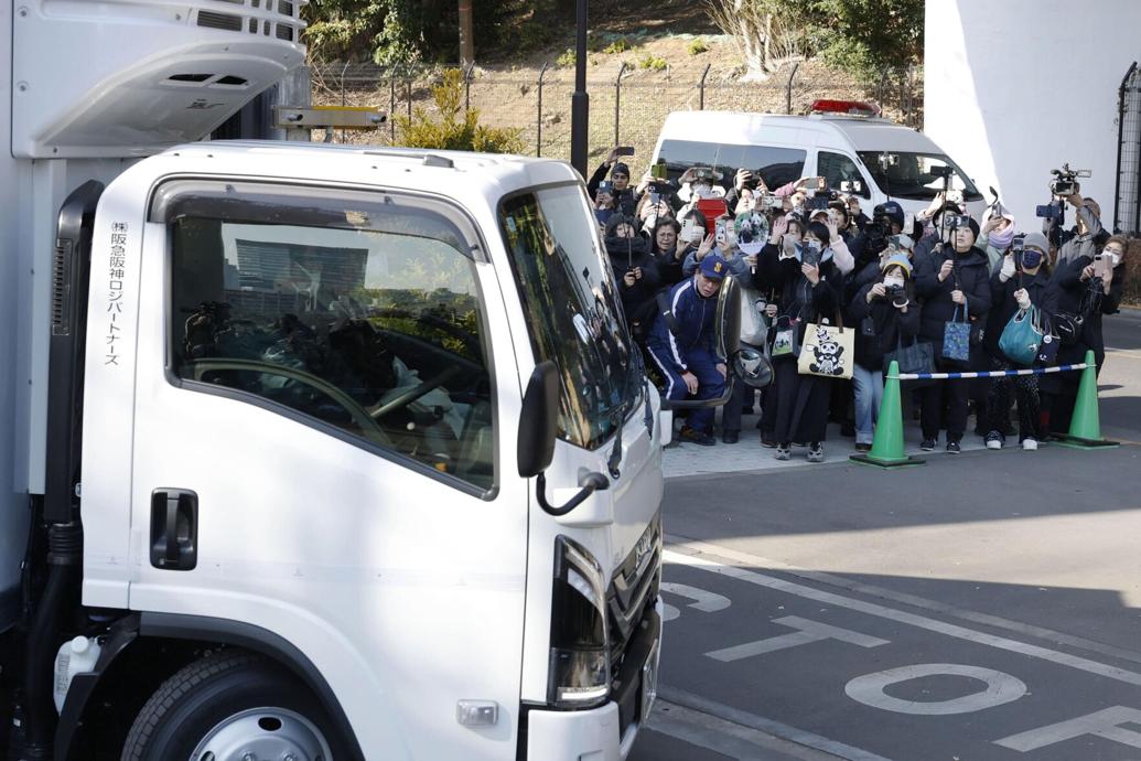 Japan Pandas | World | guardonline.com