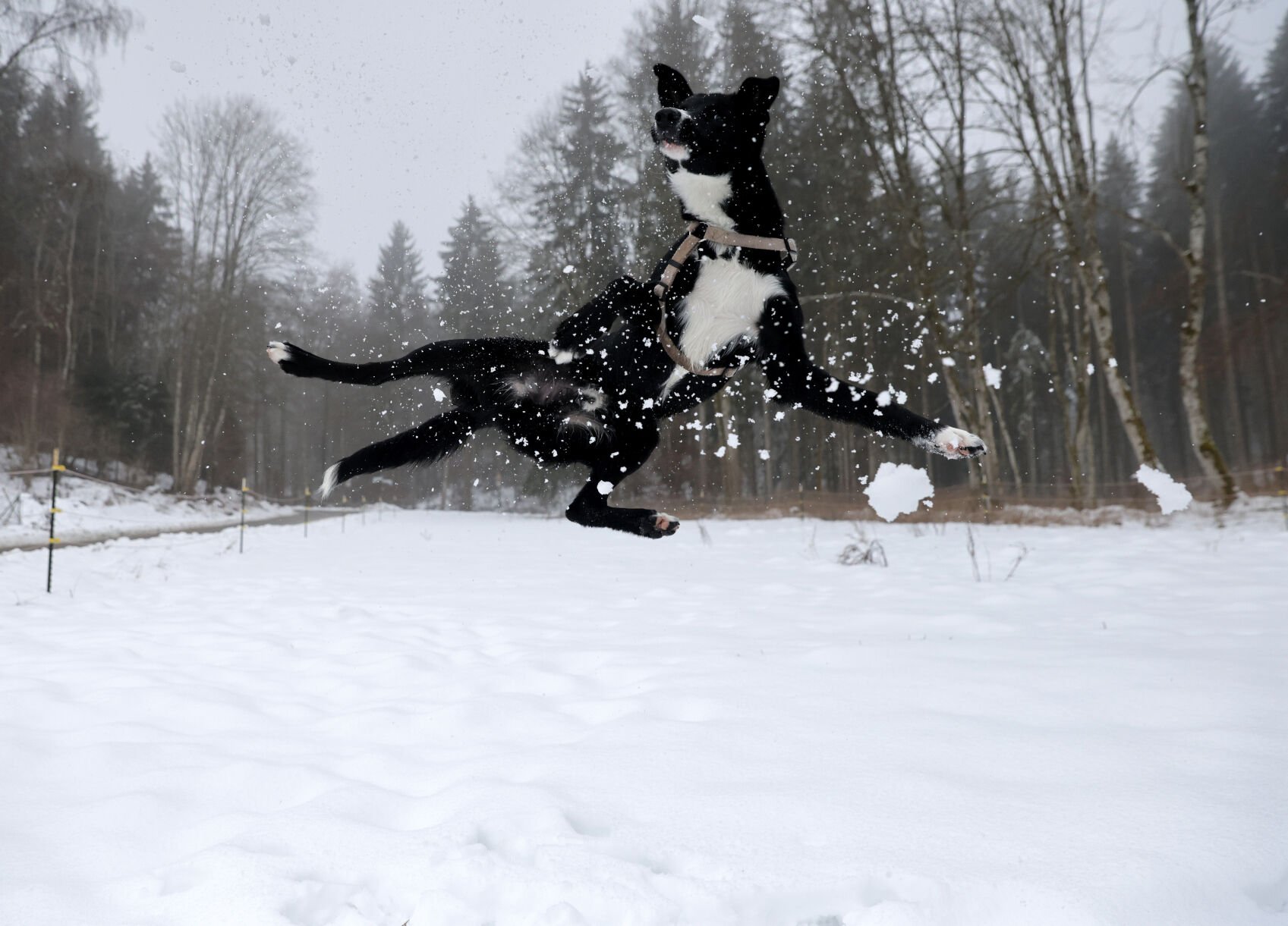 Germany Daily Life | World | guardonline.com