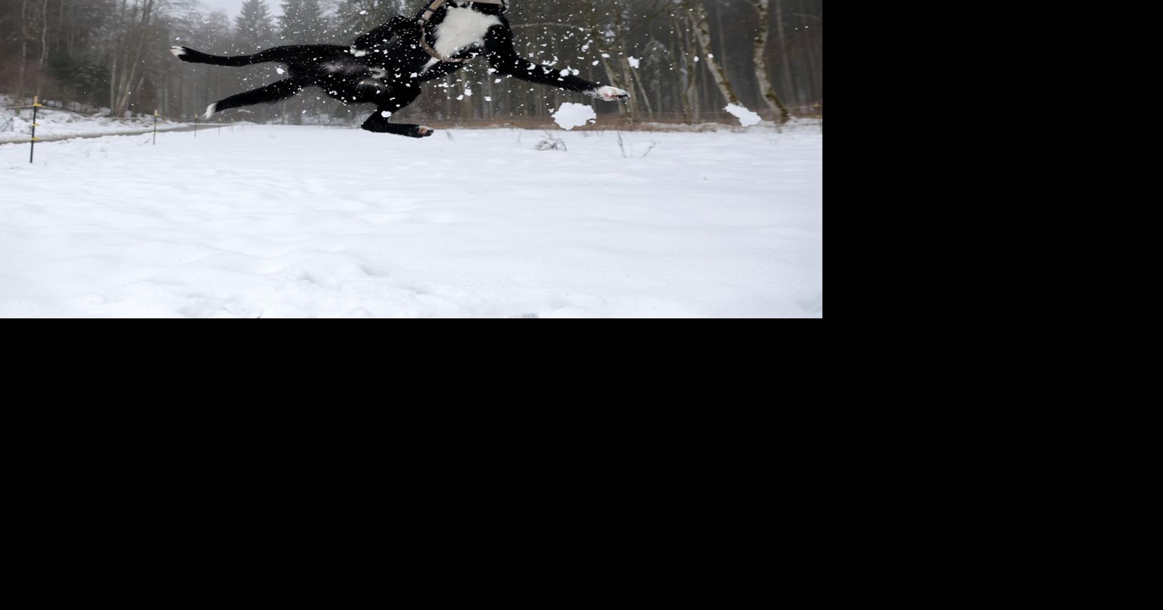 Germany Daily Life | World | guardonline.com