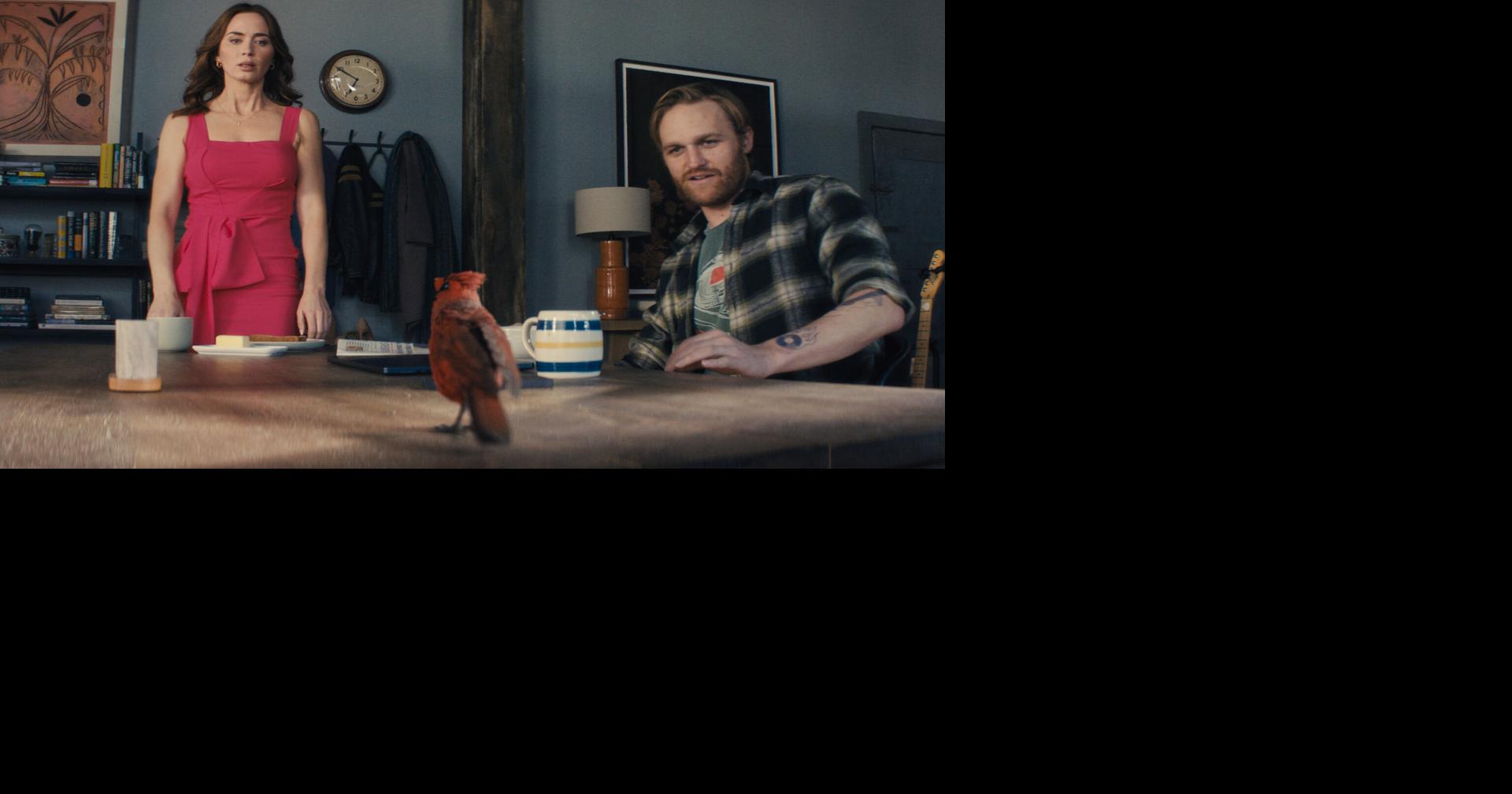 Film Review - Disclosure Day | National | guardonline.com
