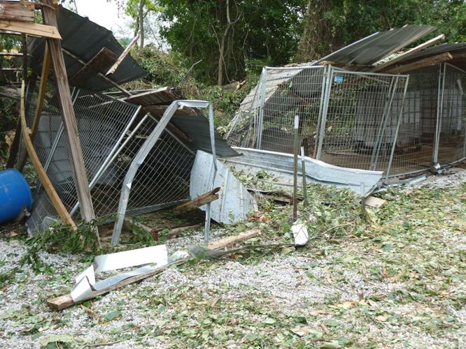 Humane Society facilities damaged during storm | News | guardonline.com