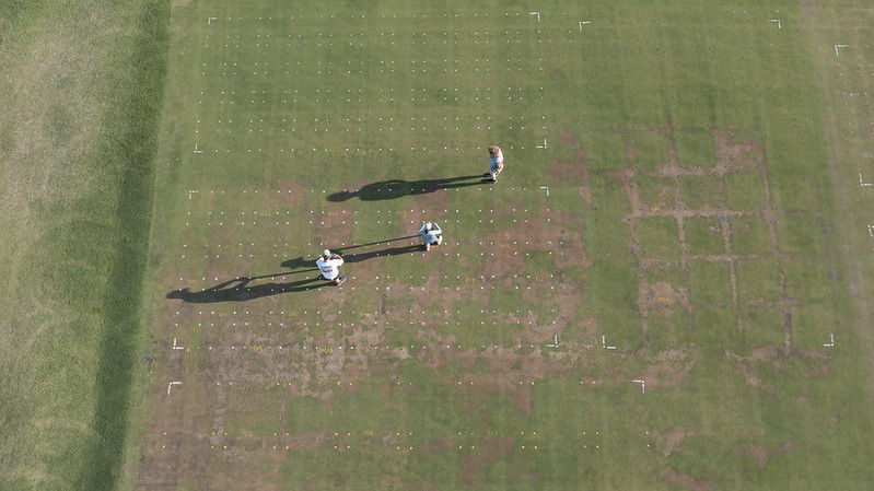 Turfgrass scientists test to control ‘localized dry spot’ | News ...