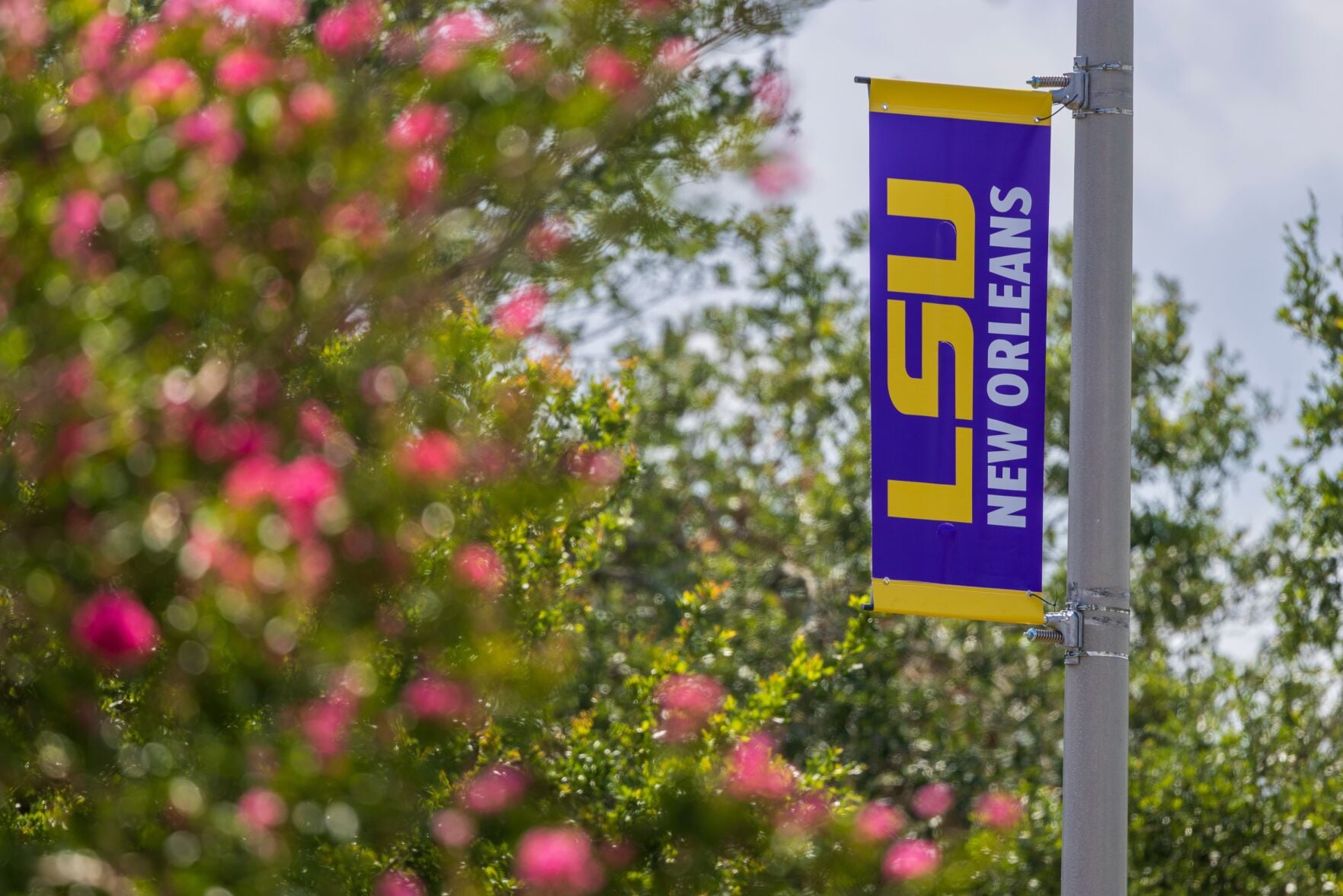 LSU System | National | guardonline.com