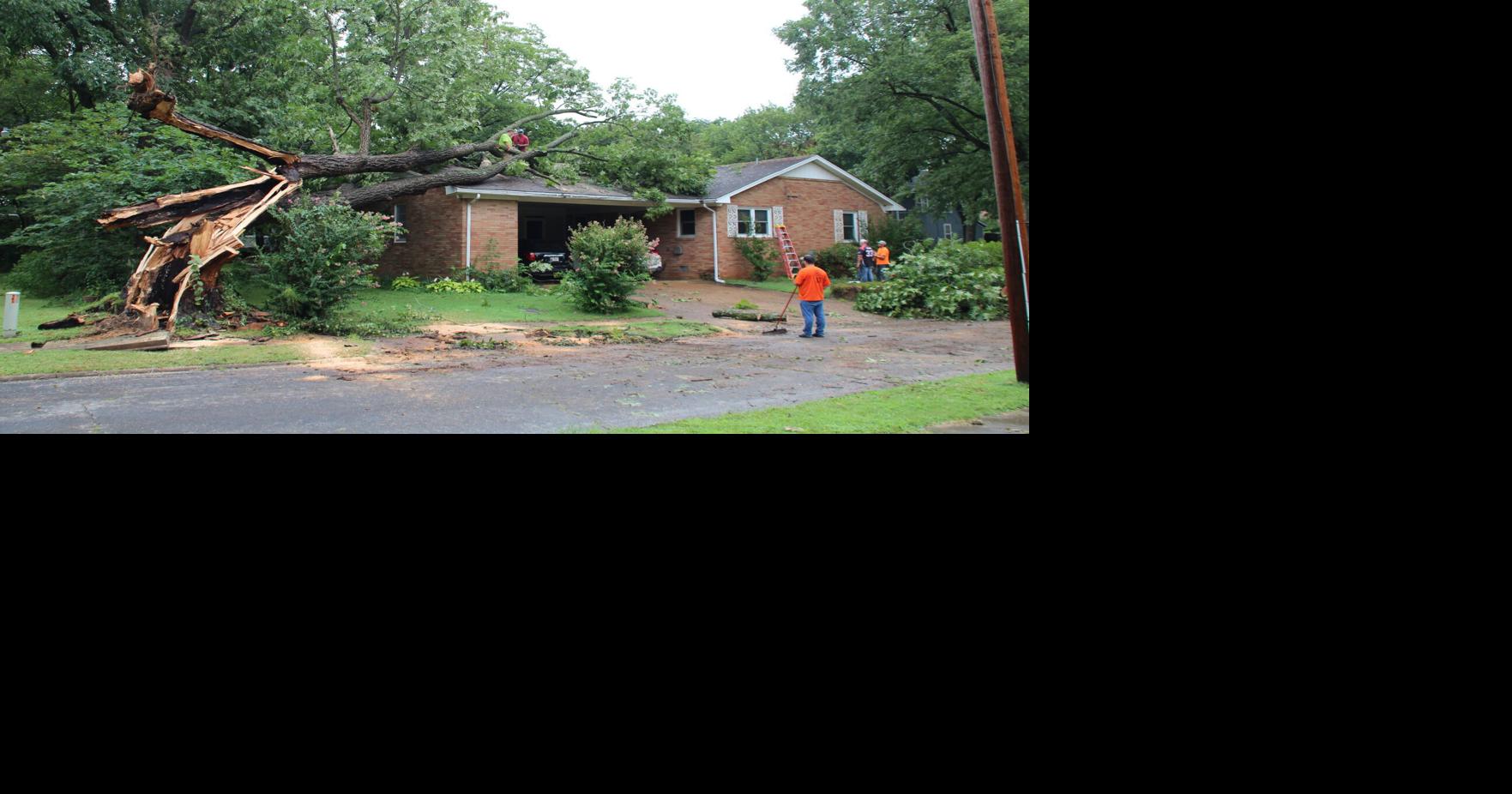Centuries-old trees fall victim to heavy rain, winds | News ...