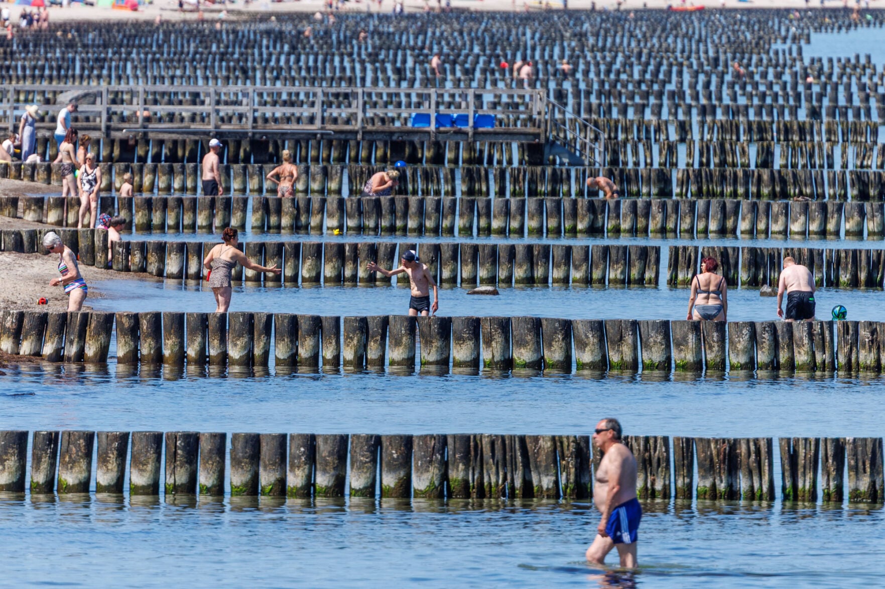Germany Extreme Weather Heat | World | guardonline.com