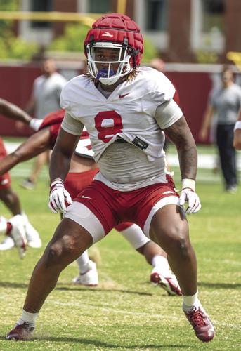 Hogs have strong stable of tight ends | Sports | guardonline.com