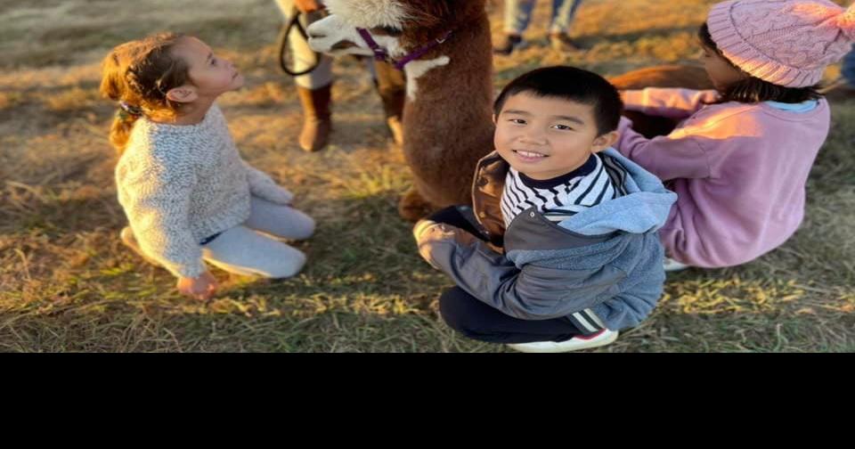 Reading with an Alpaca | Arts & Entertainment | guardonline.com