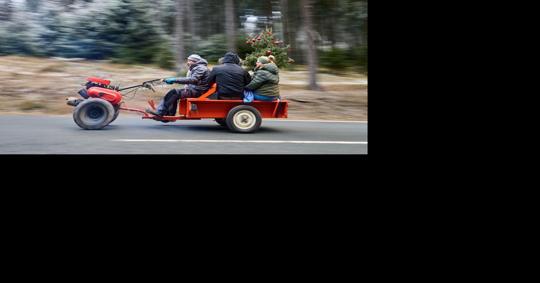 Photos of Christmas celebrations around the world | National ...