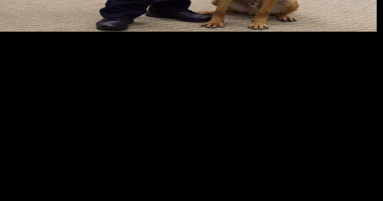 Guymon Police Department introduces new K9 Officer to the community ...