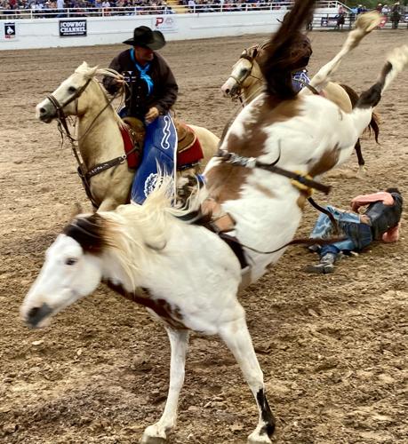 Guymon Pioneer Days Rodeo 2020 | Sports | guymondailyherald.com