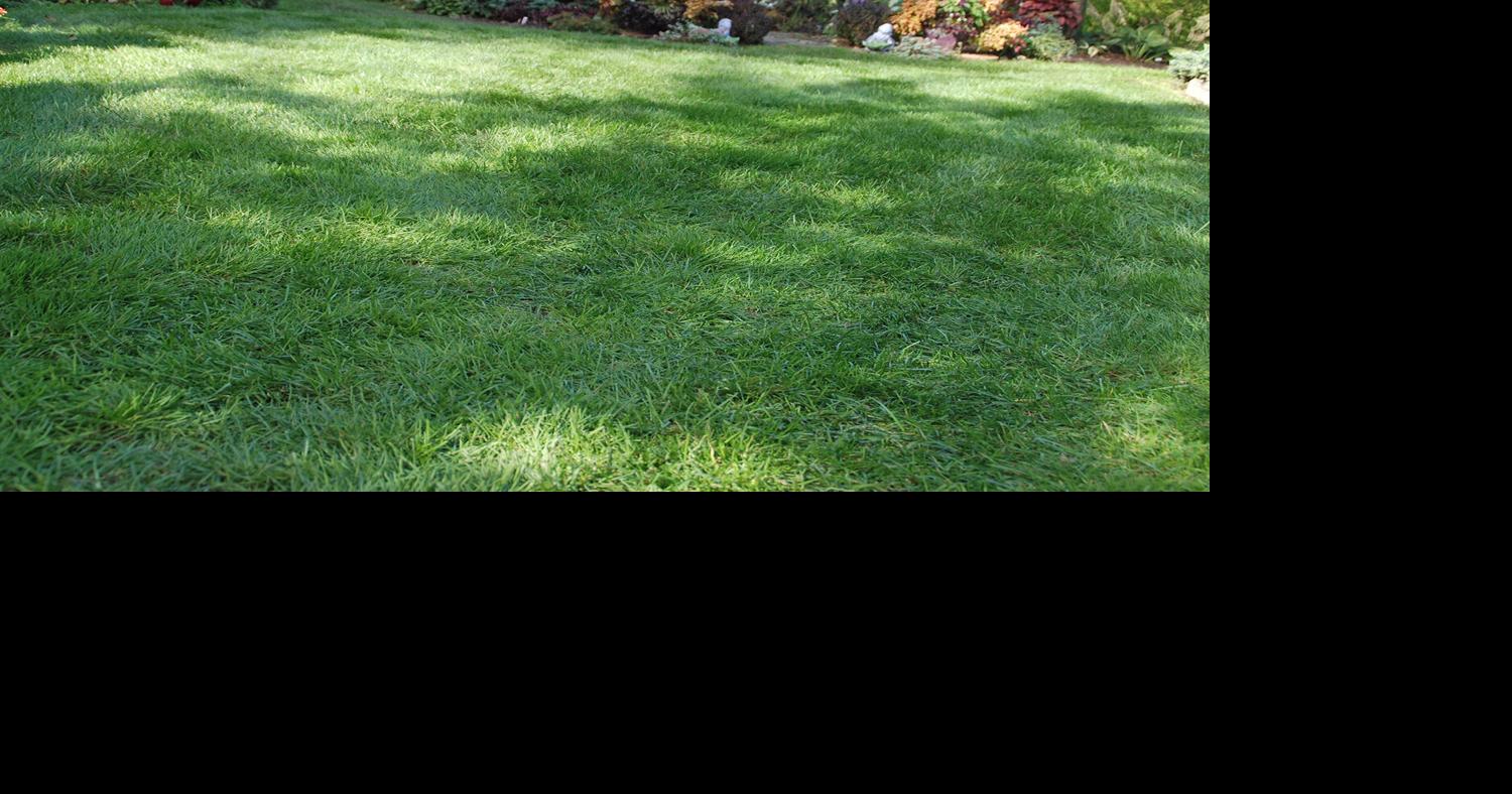 Fall lawn care tips | Entertainment | guymondailyherald.com