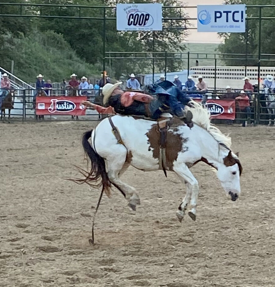 Guymon Pioneer Days Rodeo 2020 | Sports | guymondailyherald.com
