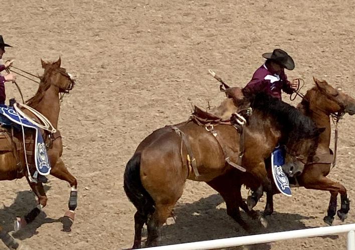 Guymon Pioneer Days Rodeo 2020 | Sports | guymondailyherald.com