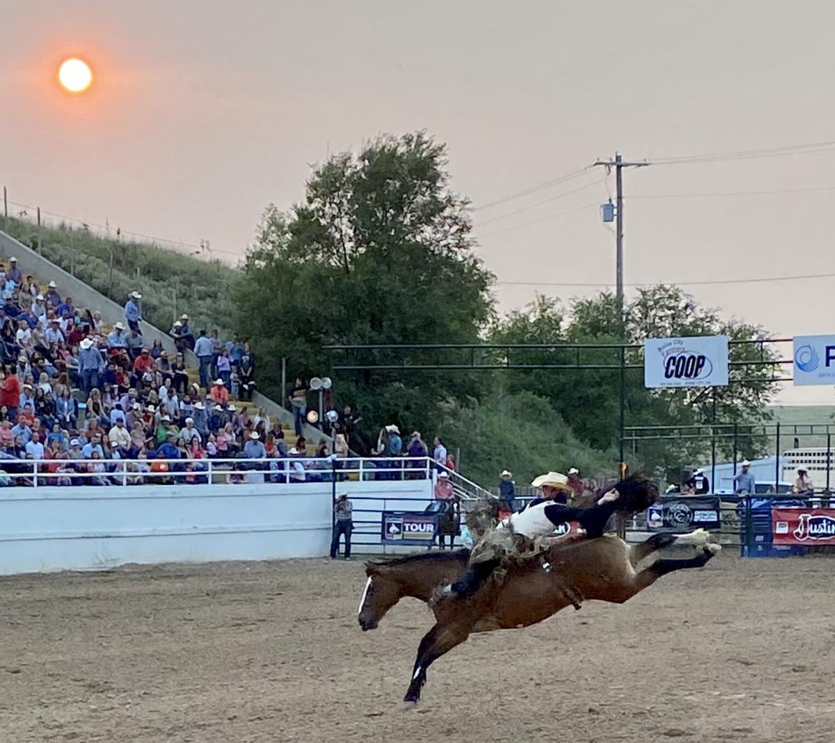 Guymon Pioneer Days Rodeo 2020 | Sports | guymondailyherald.com