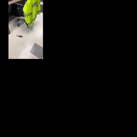 Chipmunk wanted for ‘burglarizing’ New England police department | News ...