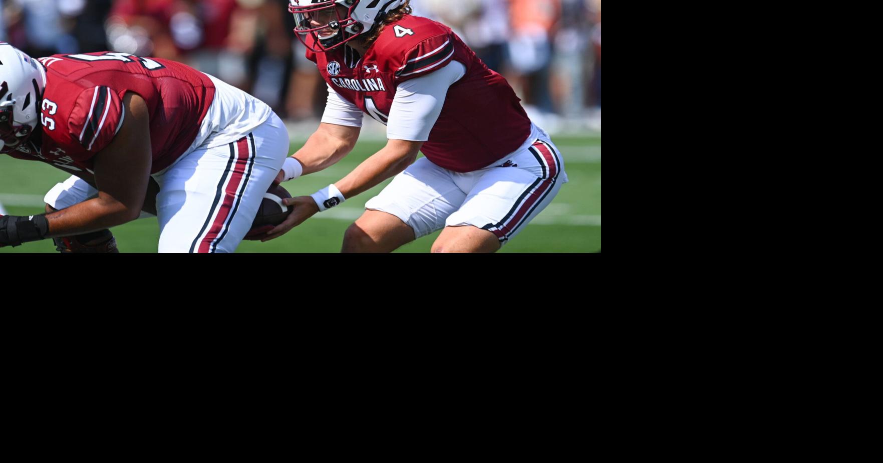 TaxSlayer Gator Bowl | | gwinnettdailypost.com