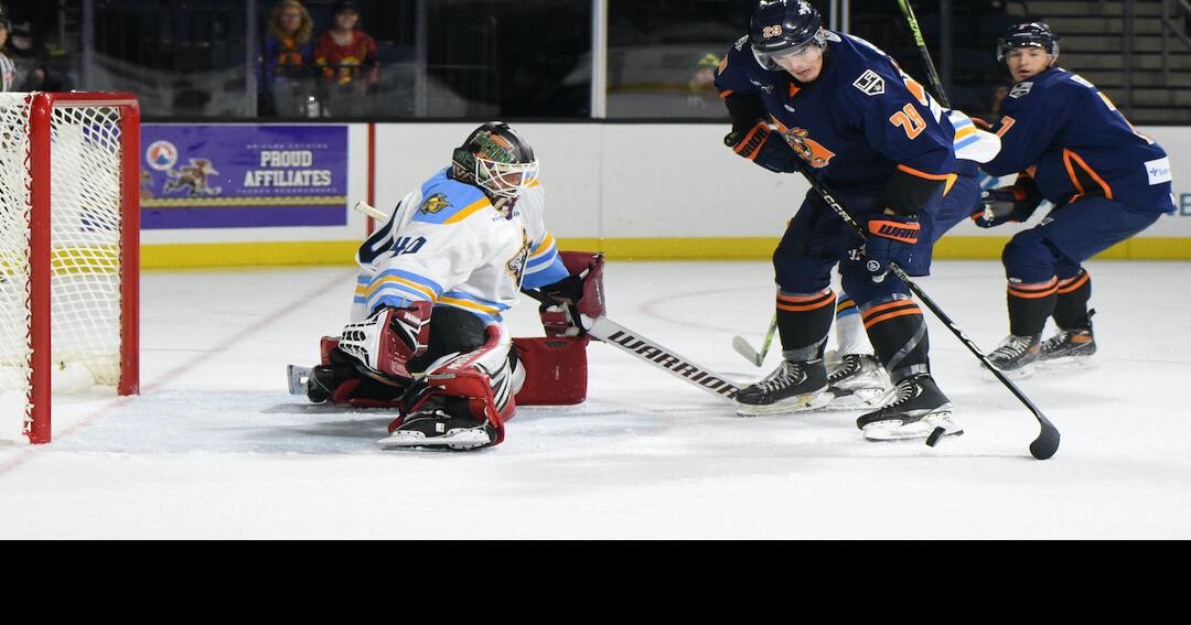 Atlanta Gladiators slip past Greenville Swamp Rabbits | Sports ...