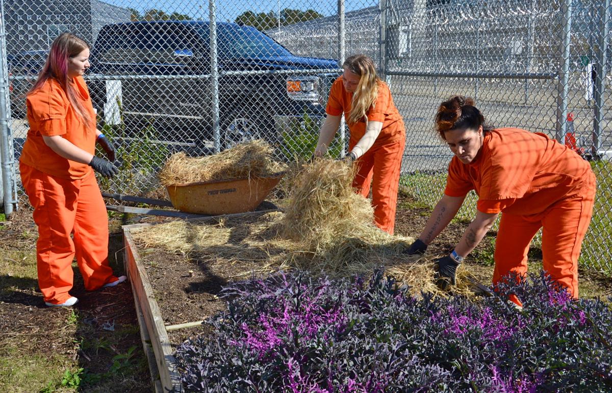 PHOTOS: Gwinnett County Jail Garden program | Slideshows ...