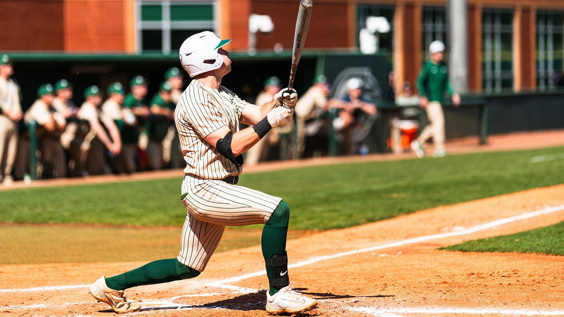 Georgia Gwinnett College Baseball's 11-Game Winning Streak Ends at ...