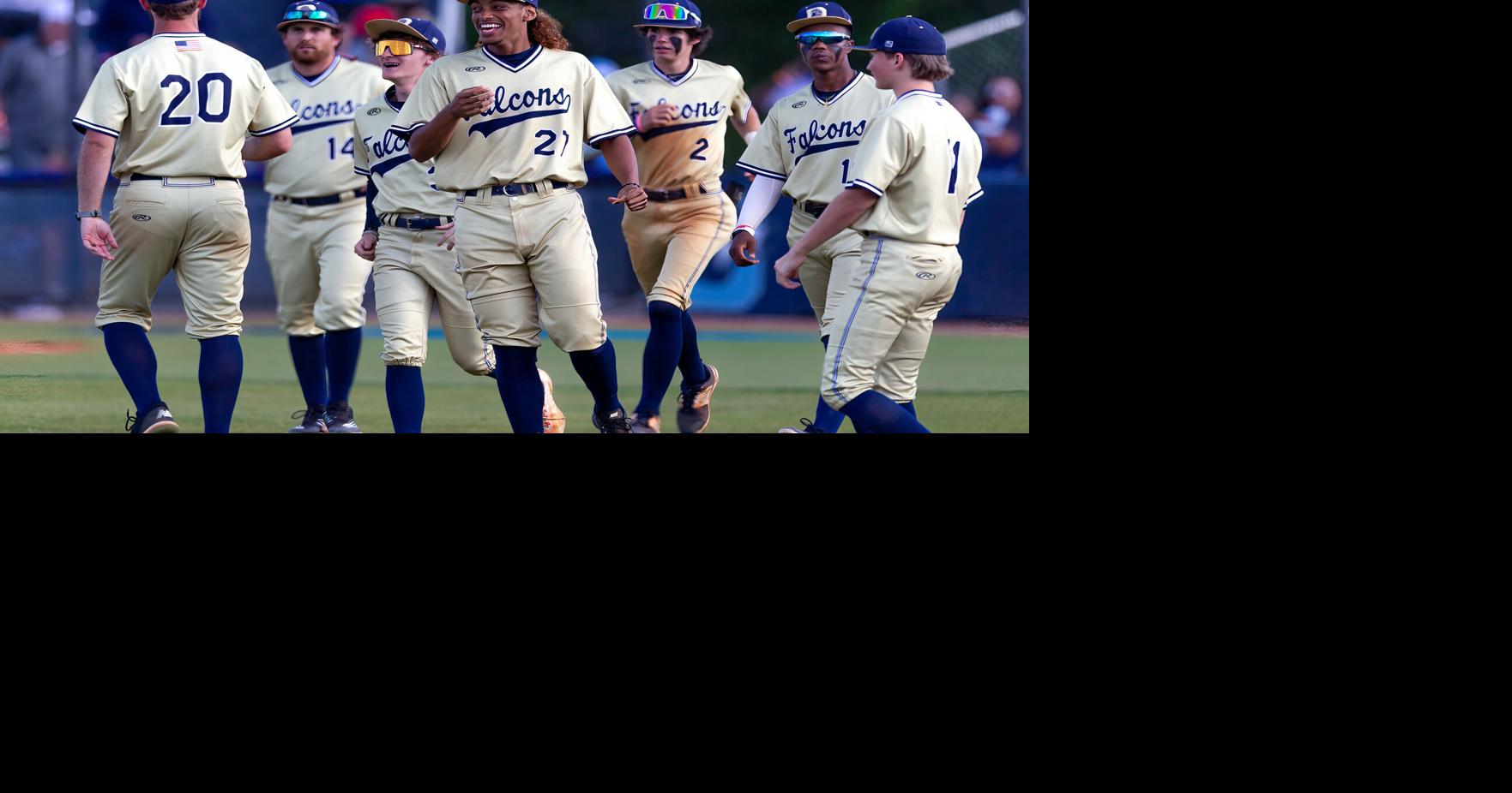 Dacula-Denmark baseball playoff series headed to Game 3 | Sports ...